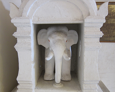 Travel for Kids Chiang Mai Elephants Photos